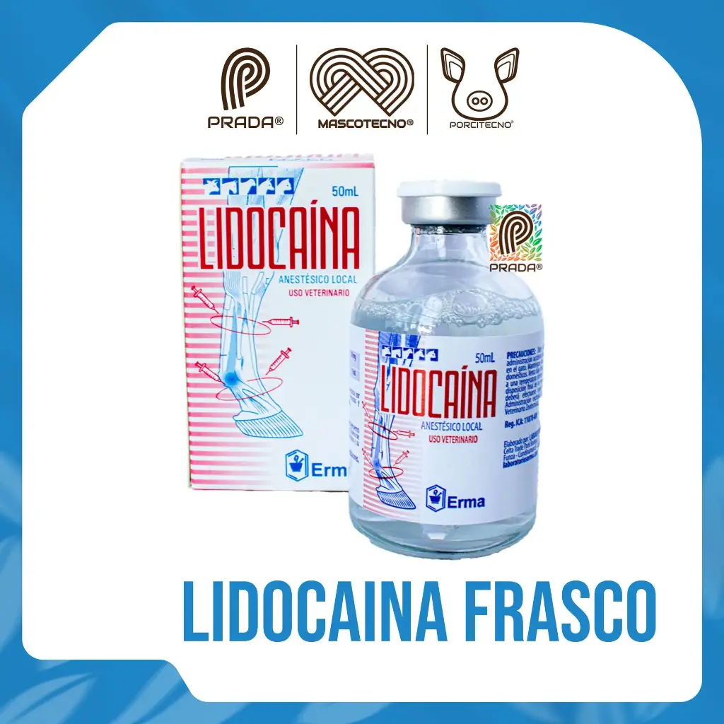 LIDOCAINA FRASCO X 50 ML | MASCOTECNO